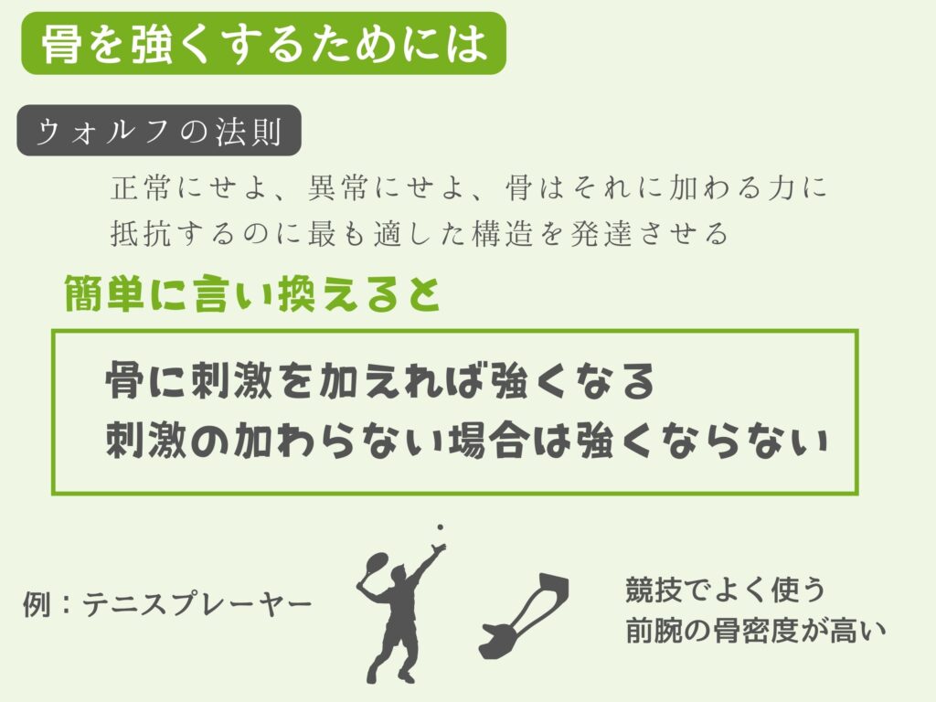 オーダーメイドレッスン事例【骨粗鬆症を改善したい】｜moshe モーシェ｜山形 コンディショニング＆24時間フィットネスジム